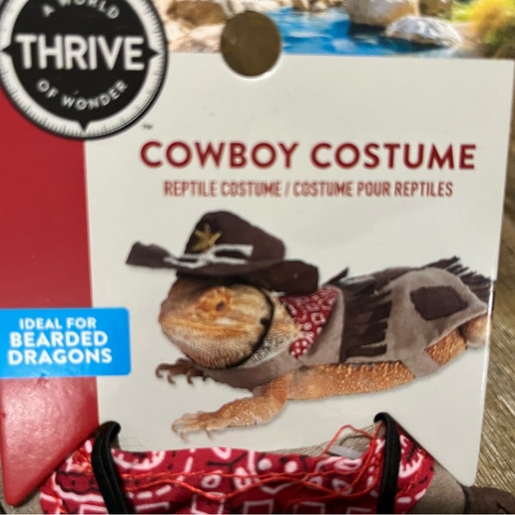 Reptile | 41 Bearded Dragon Cowboy Costume | Poshmark